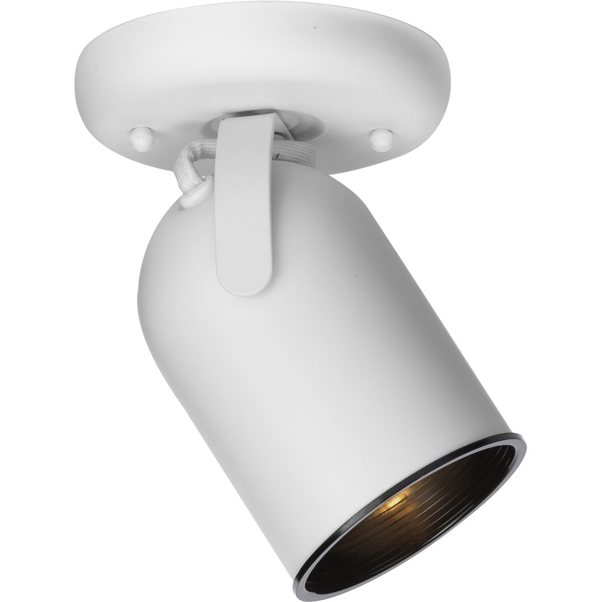 Multi Directional Ceiling Light Fixture